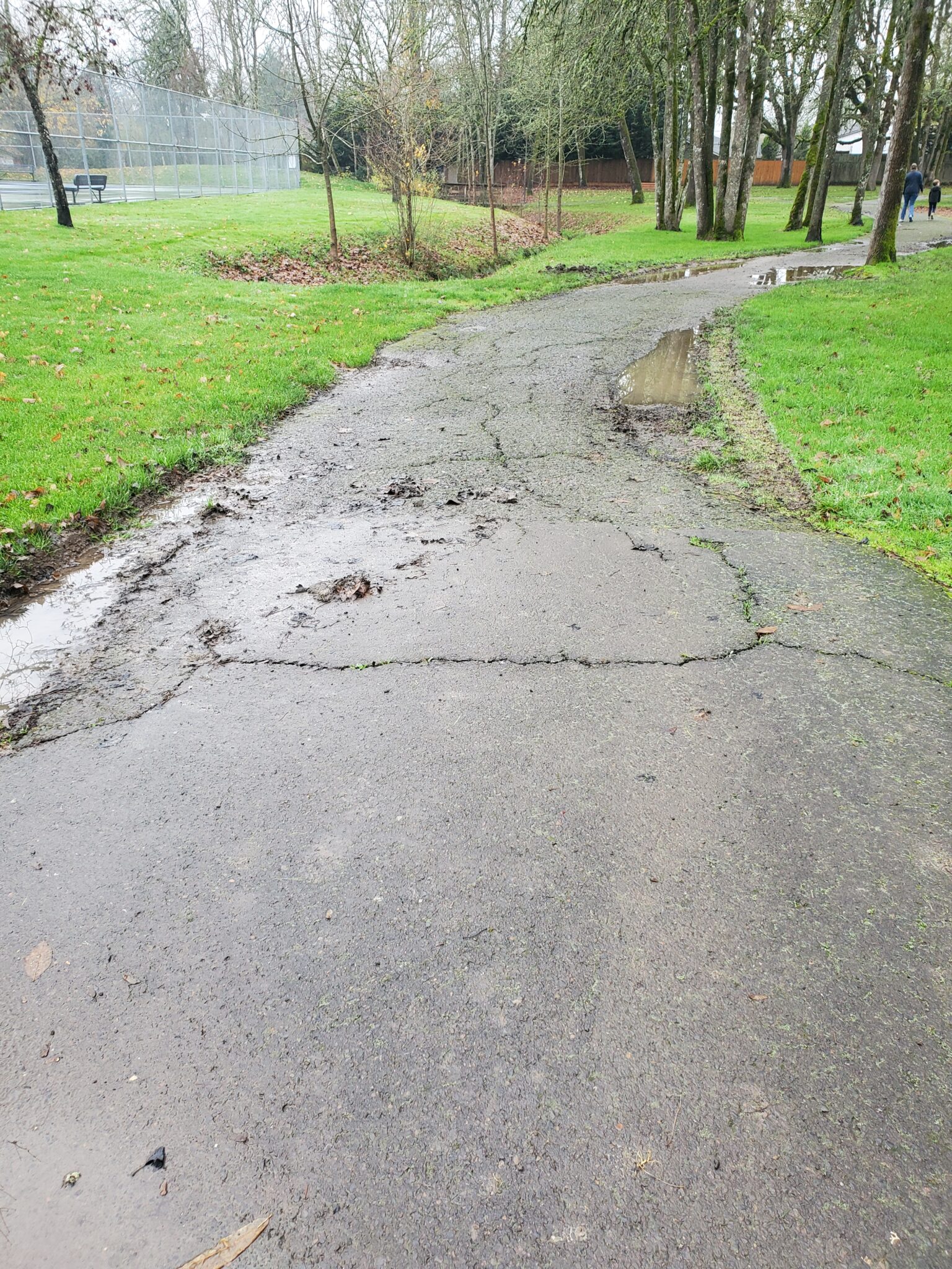 Exposing Chehalem Park and Recreation District Is Controlled by ...